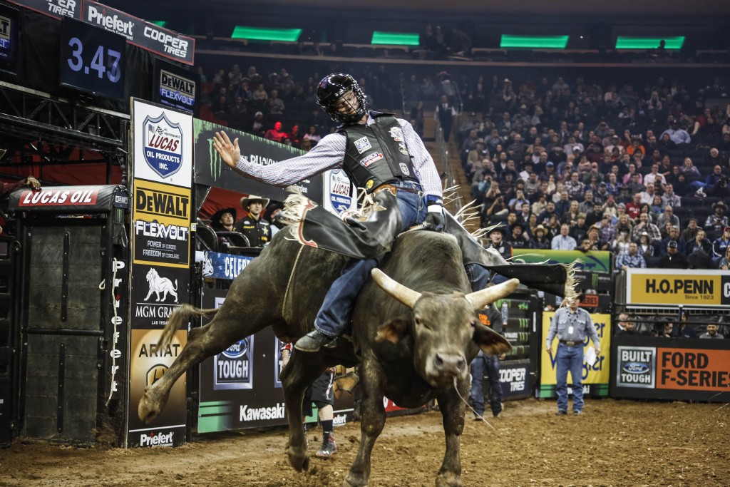 Professional Bull Riding is Becoming a Global Phenomenon – Michael LoRé